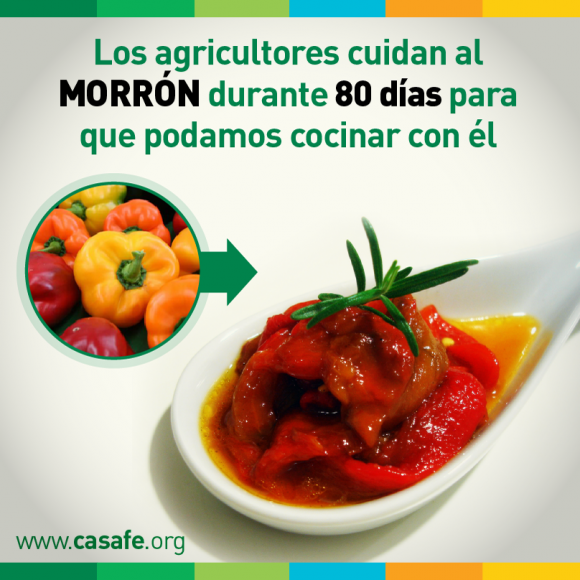 MORRONES ASADOS | Casafe
